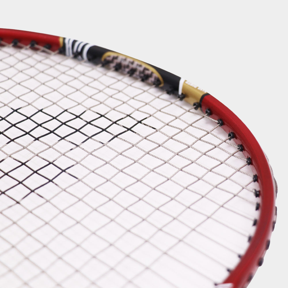 Flott Badminton Set FBR-0529 – SportlinesPH